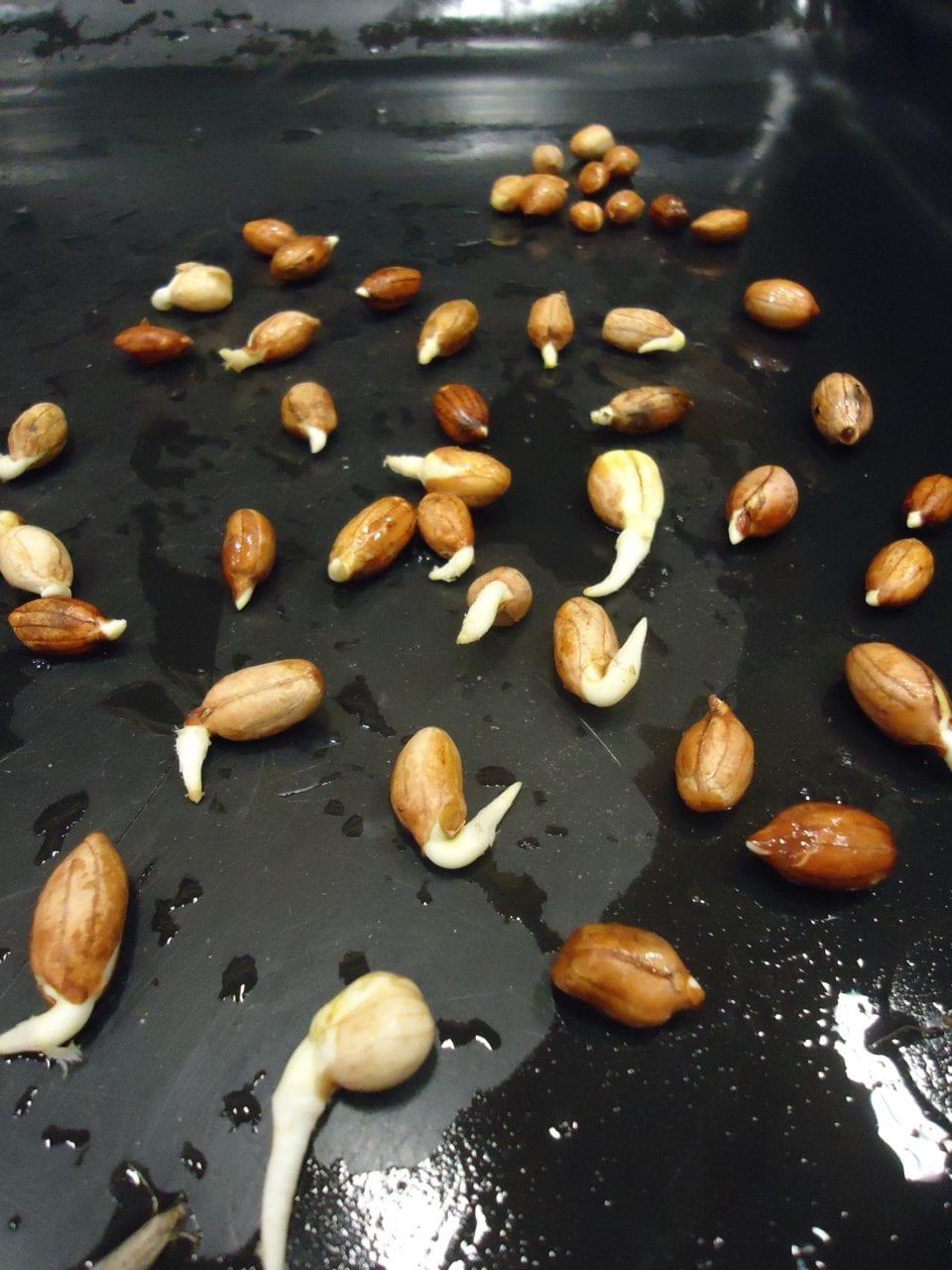 Pippa Biddle: Seeing Poverty as a Business Isn't Necessarily a Bad ...